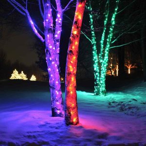 25 Creative Outdoor Christmas Lights Ideas for a Festive Glow!