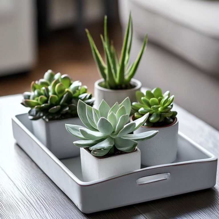 25 Tray Decor Ideas for Every Room in Your Home