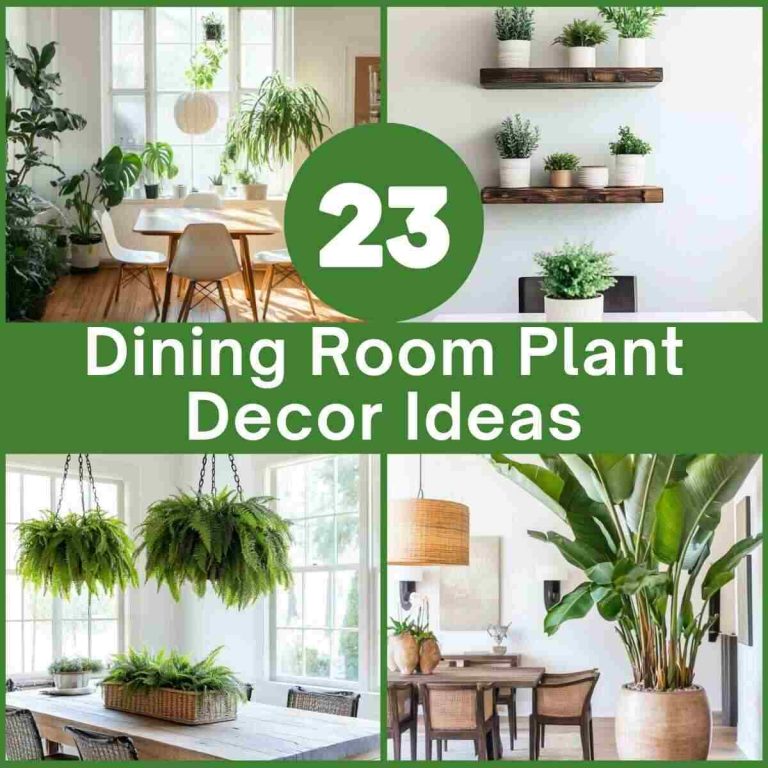 23 Best Dining Room Plant Decor Ideas