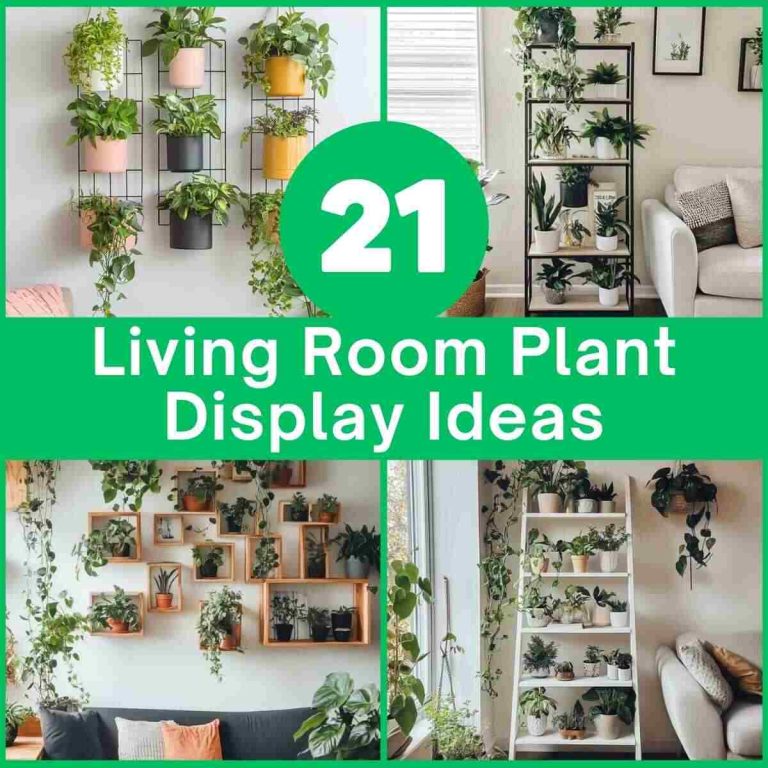 21 Best Living Room Plant Display Ideas