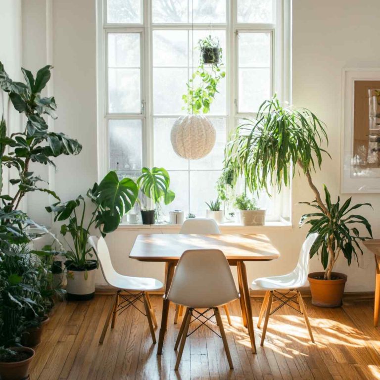 23 Best Dining Room Plant Decor Ideas