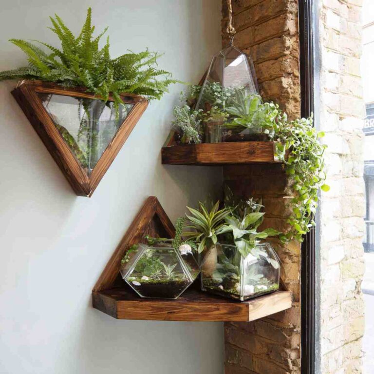 15 Corner Plant Display Ideas for Bathrooms